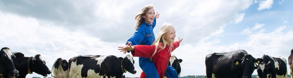 PPLG factsheet - Stawel